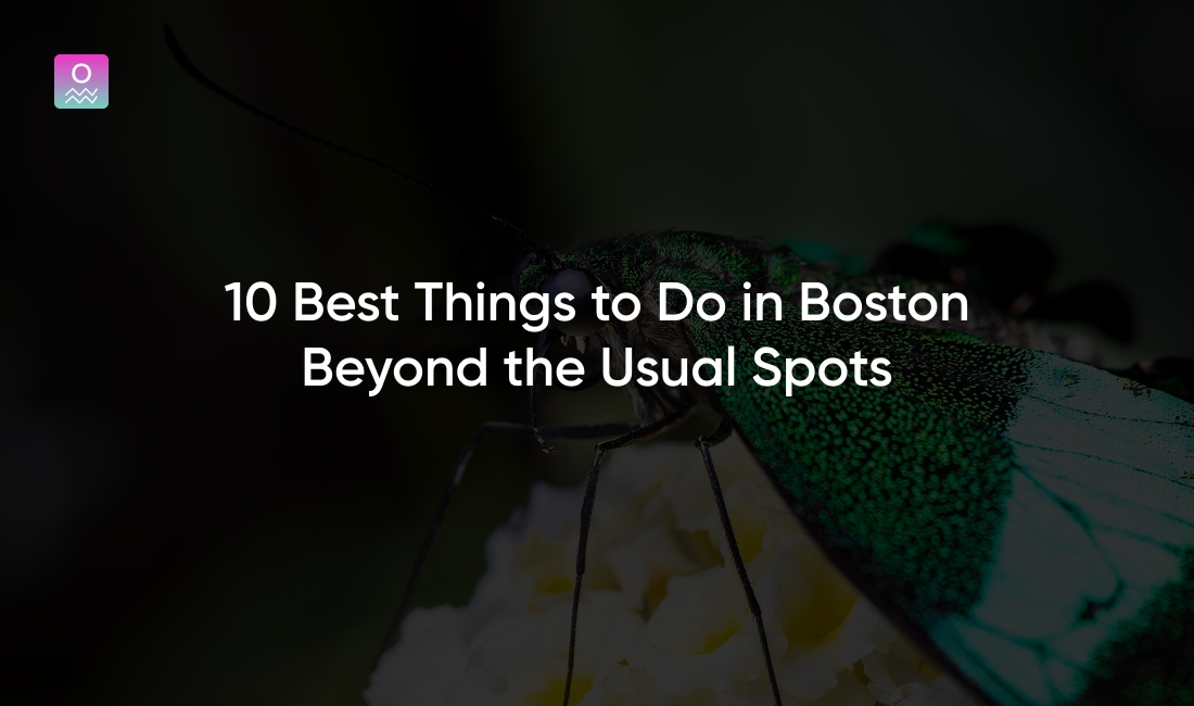 10 Best Things to Do in Boston Beyond the Usual Spots | Nomad Everyday